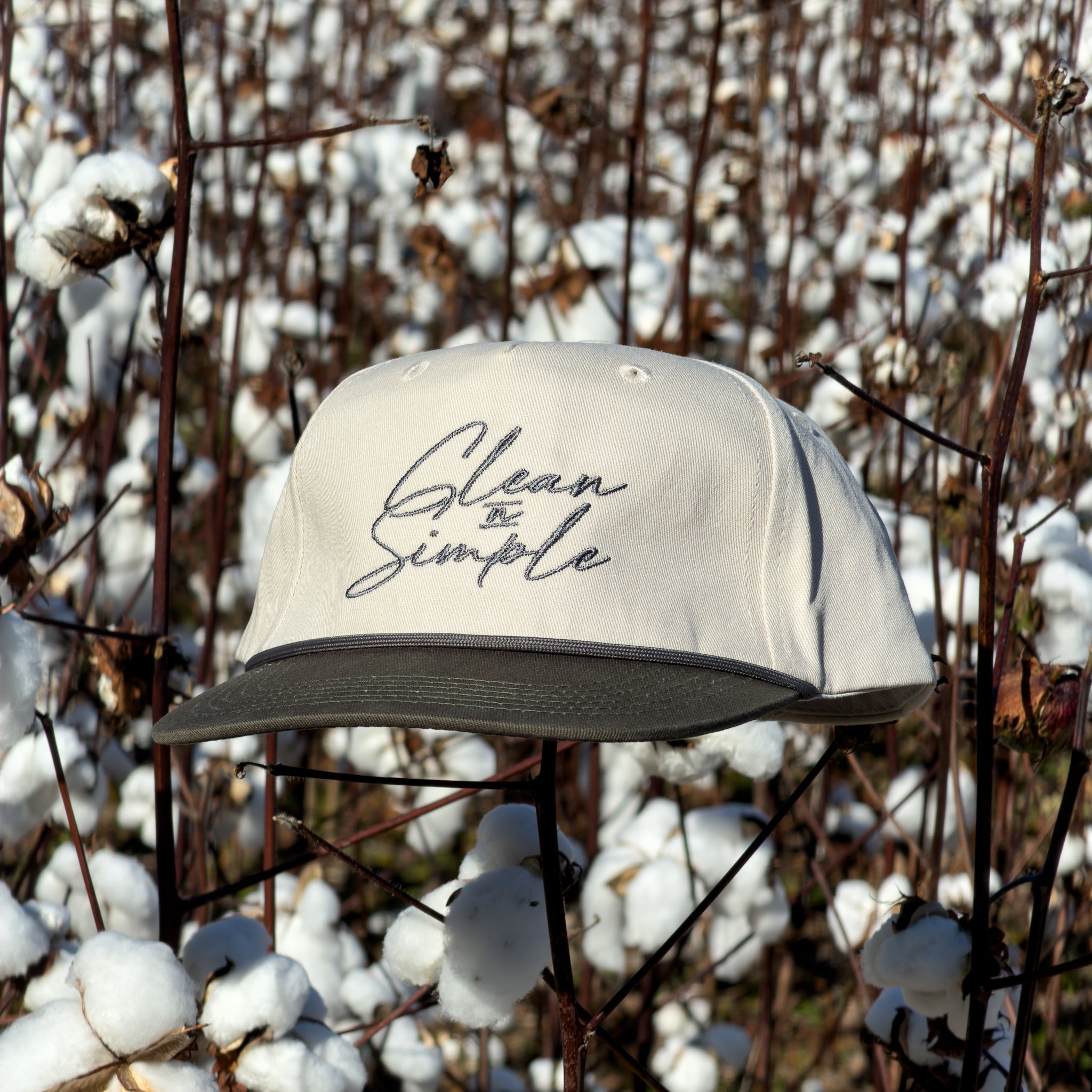 C&S Script Hat – Clean N’ Simple